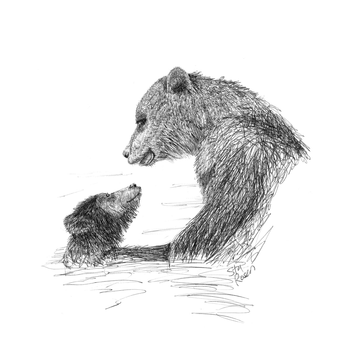 Bear - "First Swim" – Stu Rosen Art