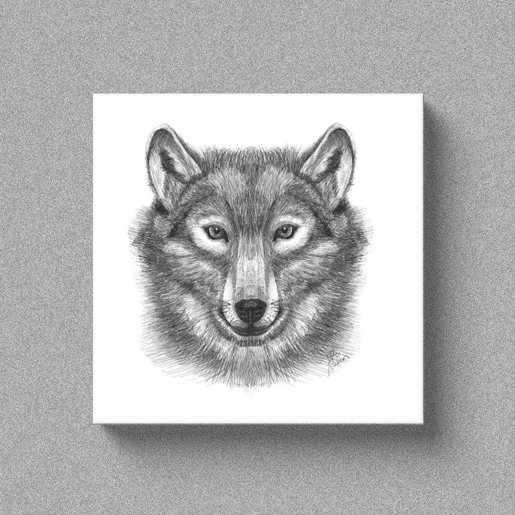 Lone Wolf Drawing