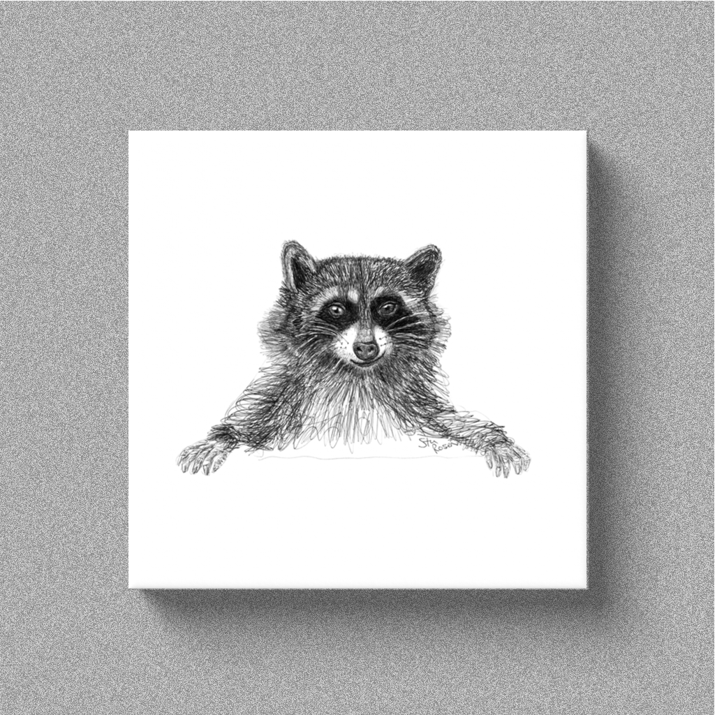 Raccoon "Scheme" - Canvas – Stu Rosen Art